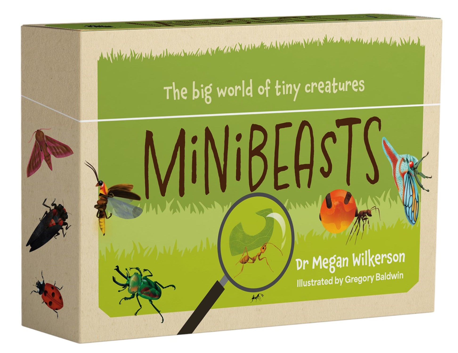 Minibeasts – Gather Books & Lovely Things